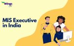 How to Become MIS Executive in India: Salary, Skills, Interview, Job ...