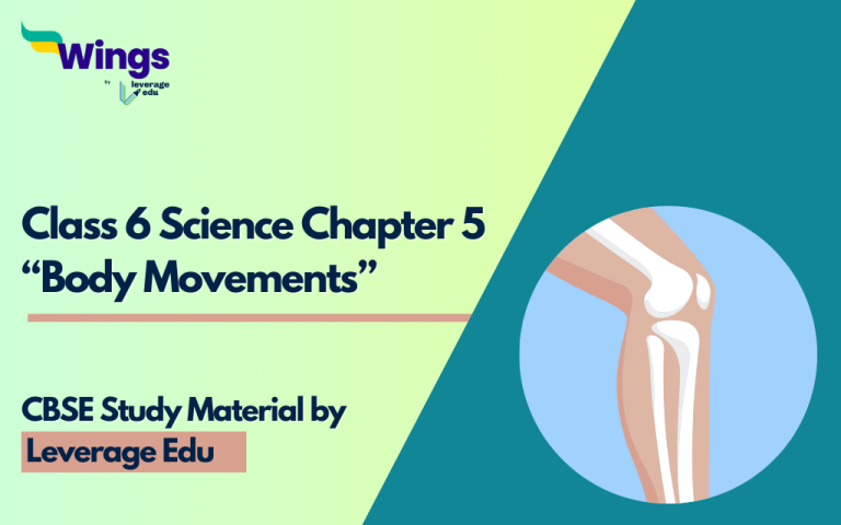 NCERT Solutions and Notes for Class 6 Science Chapter 5: Body Movements ...