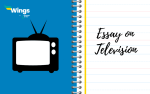 Essay On Television: In 100 Words, 150 Words, 200 Words | Leverage Edu