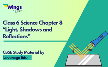 NCERT Class 6 Science Chapter 8 'Light, Shadows and Reflections': Notes ...