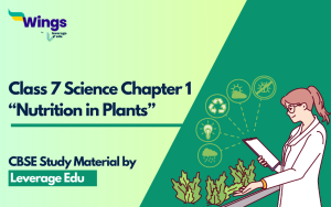 NCERT Class 7 Science Chapter 1 Nutrition in Plants: Notes and ...