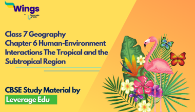 NCERT Study Material Archives - Leverage Edu