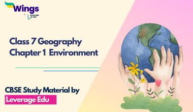 Difference Between Elocution and Speech: Definition, Format, Samples