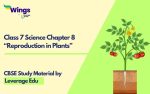 NCERT Class 7 Science Chapter 8 Reproduction in Plants: Notes and ...