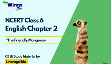 Email vs Letters: Key Differences | Leverage Edu