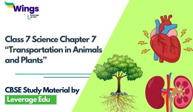 NCERT Class 7 Science Chapter 2 Nutrition in Animals: Notes and ...