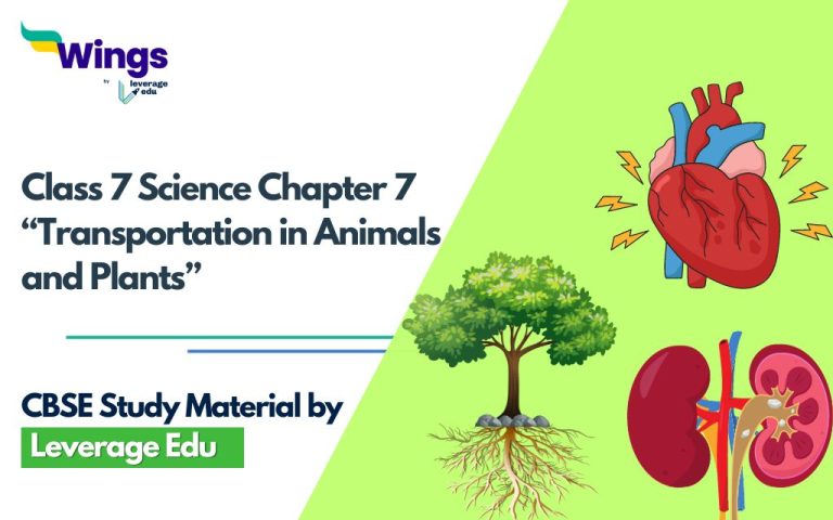 NCERT Class 7 Science Chapter 7 Transportation in Animals and Plants ...