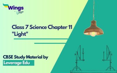 NCERT Class 7 Science Chapter 11 'Light': Notes and Solutions (Free PDF ...