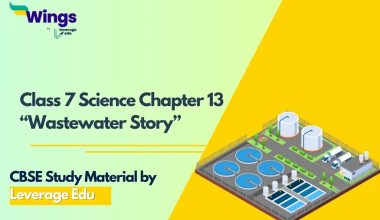 Speech Writing Class 11: Format, Examples, & Topics for ISCE and CBSE