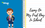 Essay on My First Day in School: Sample in 100, 200, 300 Words ...