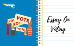 Essay on Voting for School Students: Samples in 100, 200, 250, and 500 ...