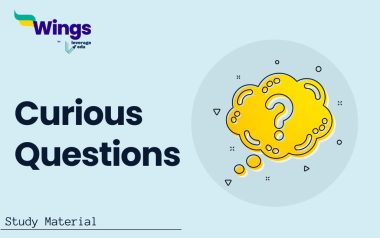 50+ Curious Questions That Will Make You Think