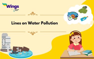 5, 10, and 20 Lines on Water Pollution for Students