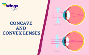 Concave and Convex Lens: Difference, Examples & More