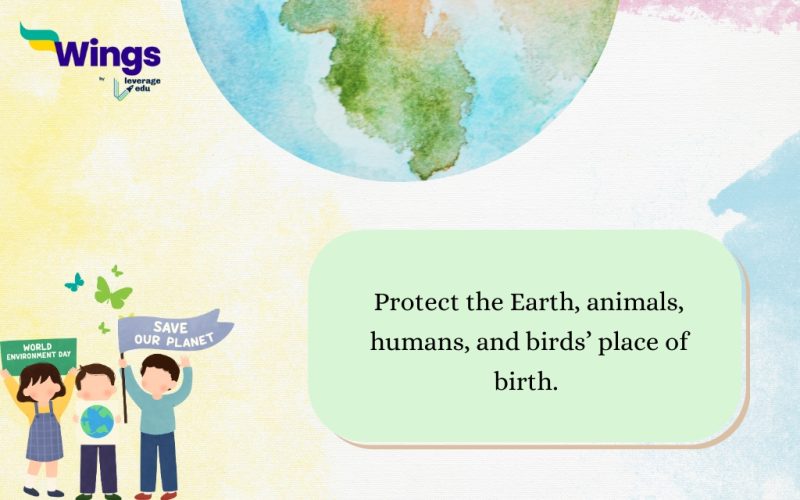 40 Slogans on Save Environment for World Environment Day