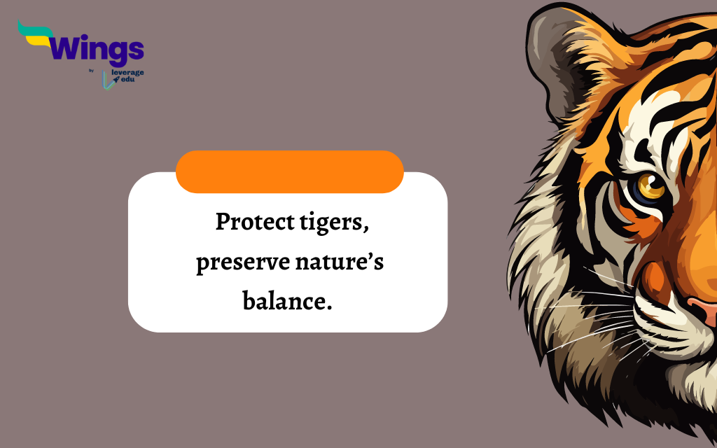 20 Slogans on Save Tiger in English with Pictures