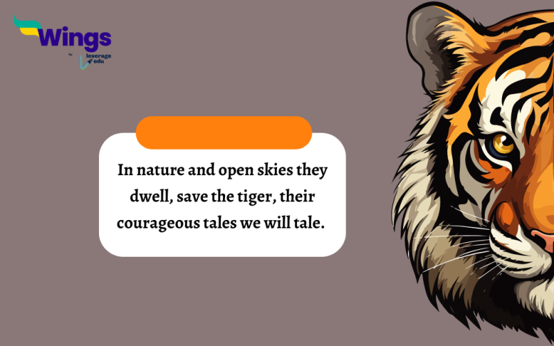 20 Slogans on Save Tiger in English with Pictures