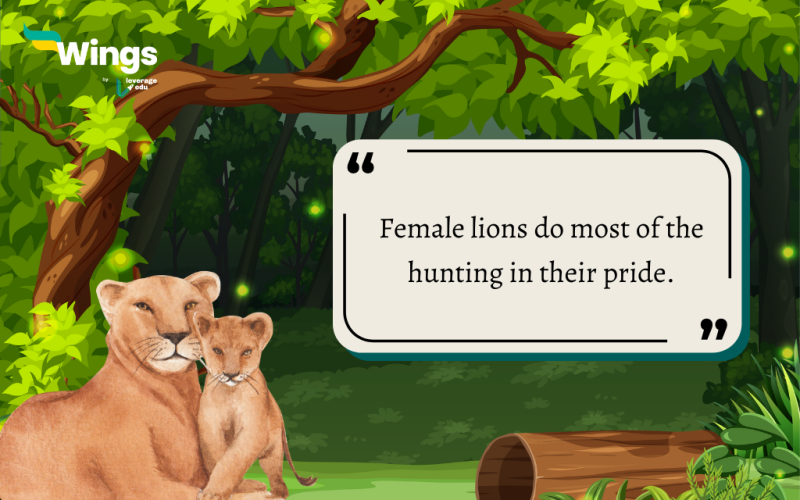 47+ Fun Interesting Animal Facts for Kids