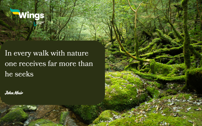 Earth Day Quotes: 50+ Powerful Sayings to Save Earth for Students